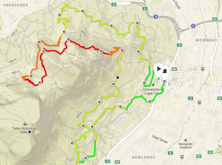 Table Mountain Top 10 trail routes: #8 Three Single Tracks – Rhodes ...
